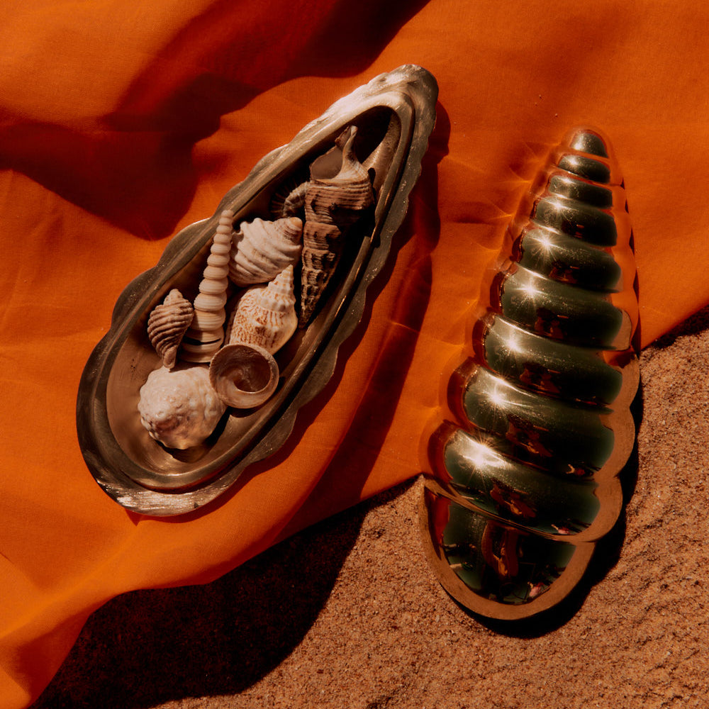 Dinosaur Designs | Australian Design Studio