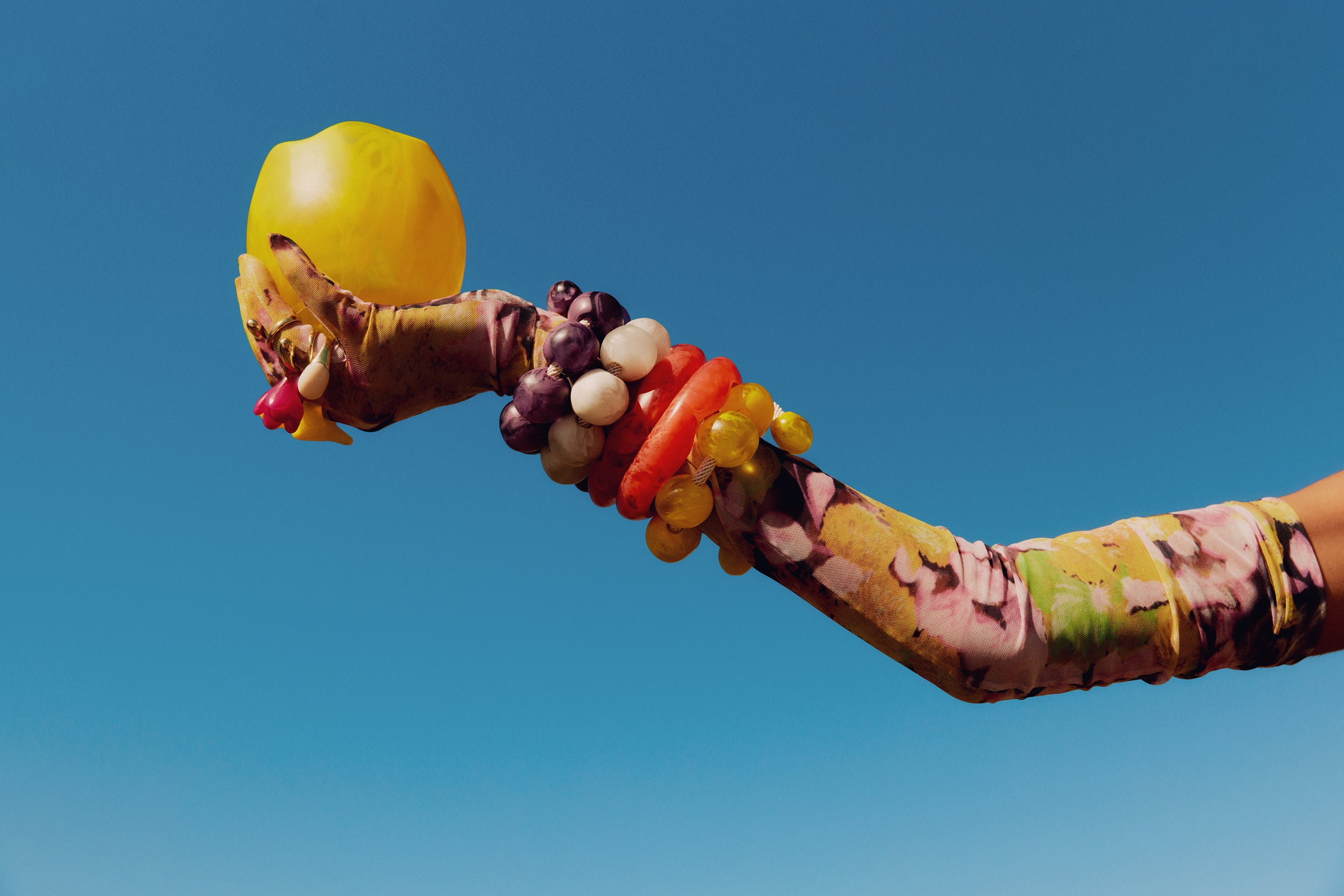 Dinosaur Designs | Australian Design Studio