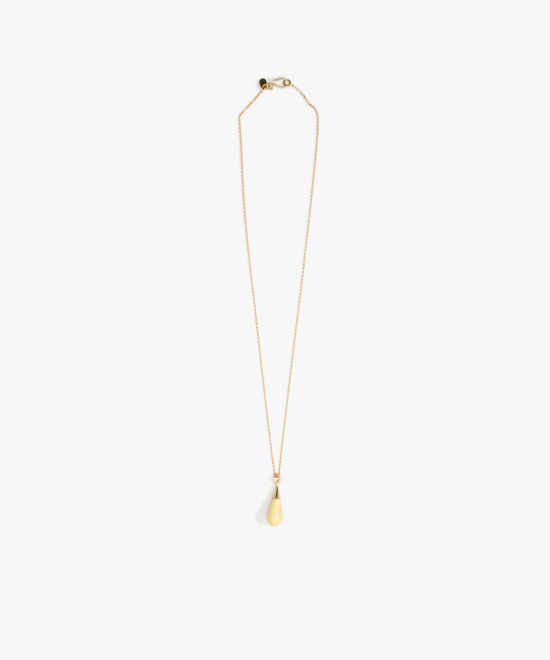 Pendants | Dinosaur Designs