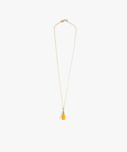 Pendants | Dinosaur Designs