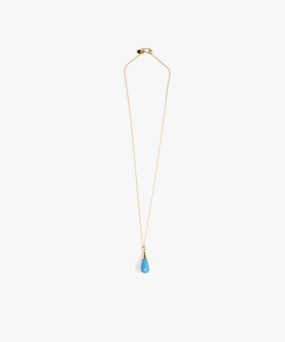 Pendants | Dinosaur Designs