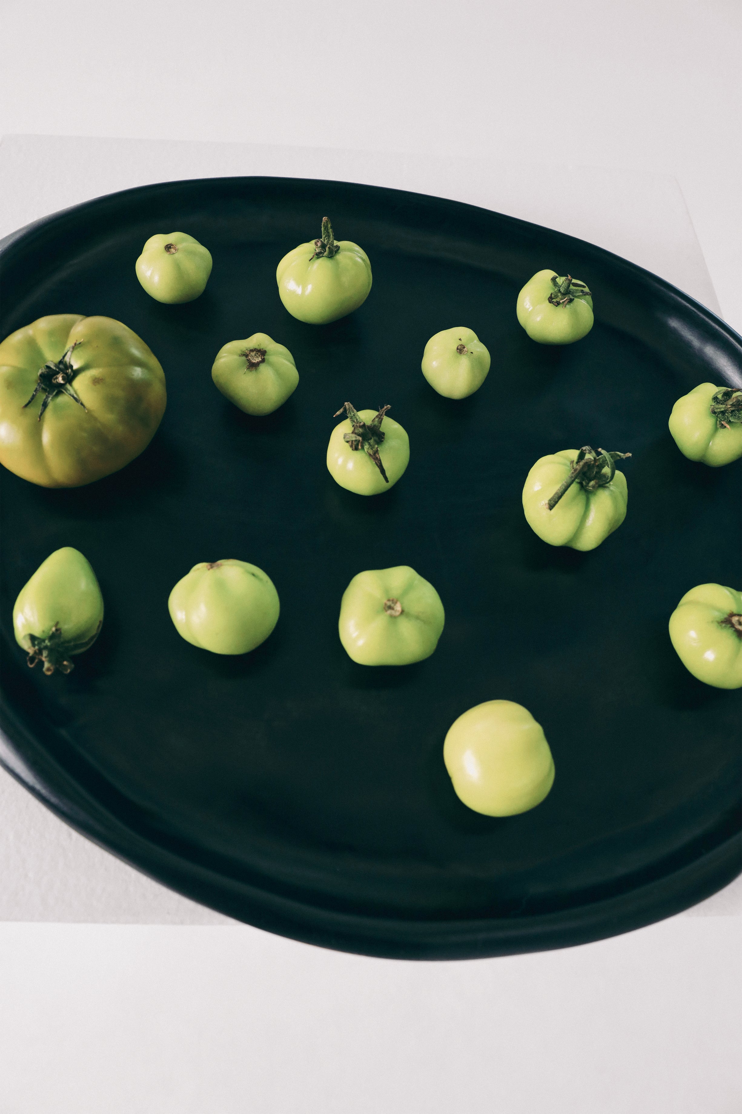 Dinosaur Designs | Australian Design Studio