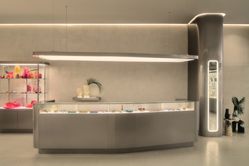 Our Stores | Dinosaur Designs