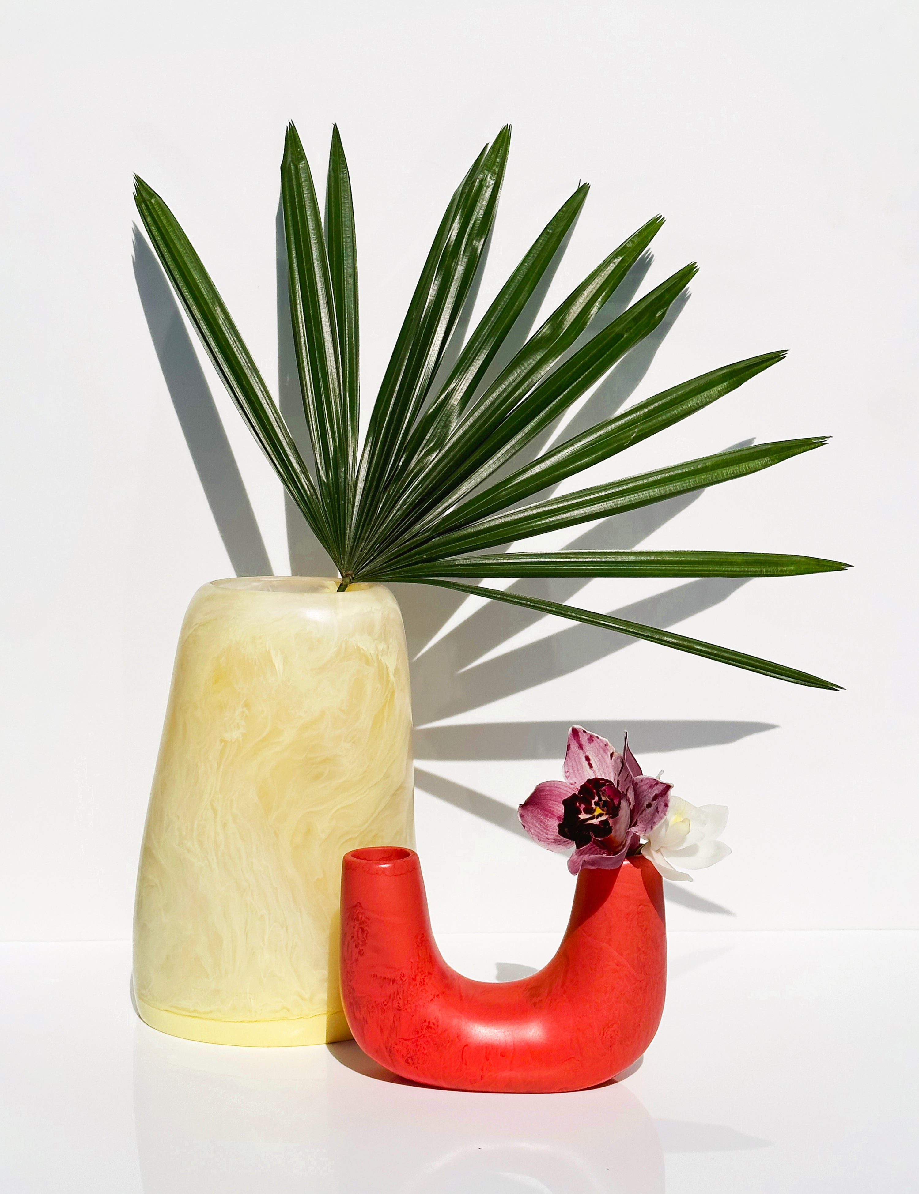 Vases | Dinosaur Designs